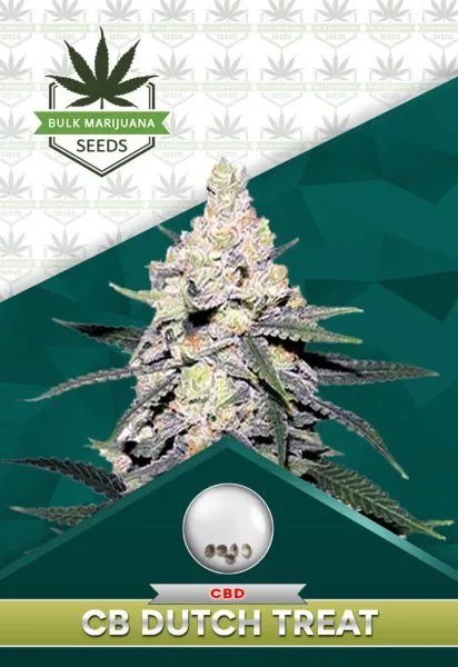 CB Dutch Treat Strain Marijuana Seeds | Bulk Marijuana Seeds