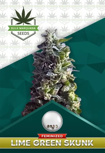 Lime Green Skunk Strain Feminized Marijuana Seeds | Bulk Marijuana Seeds